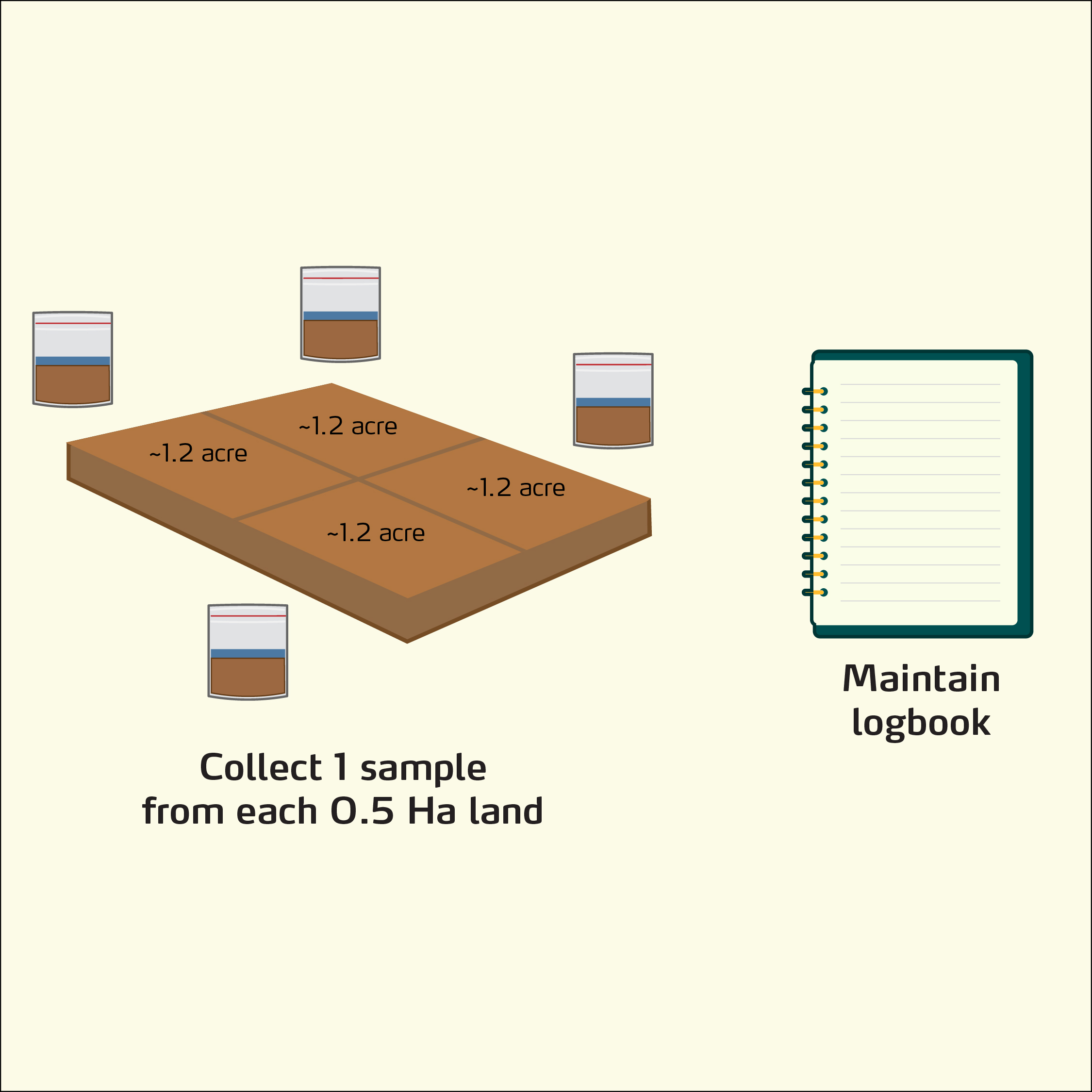 How do I collect the soil sample? – YaraFarmcare India (English)